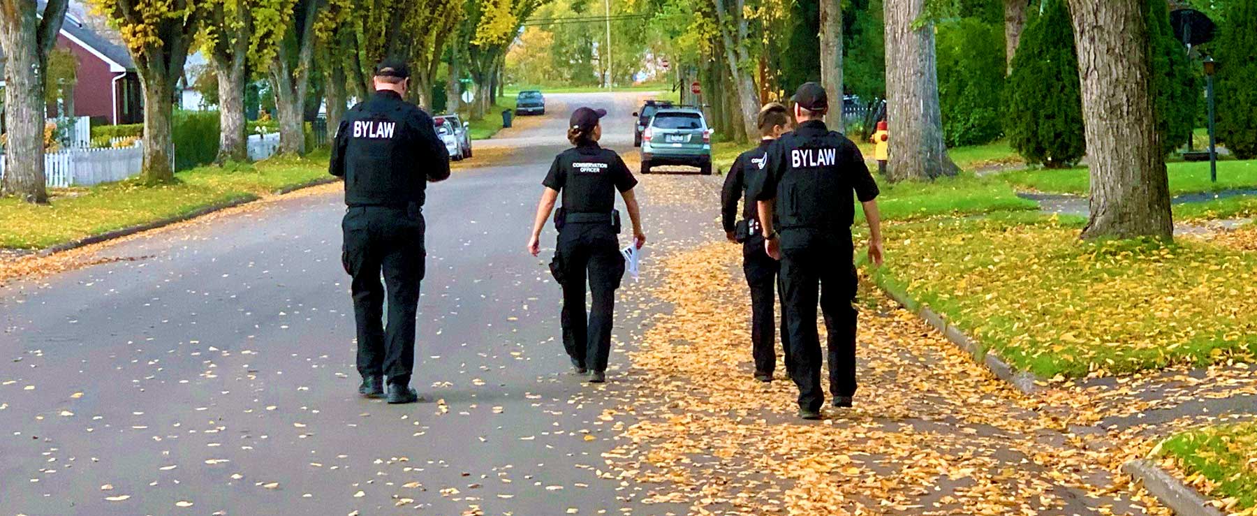 Bylaw Enforcement | City of Prince George